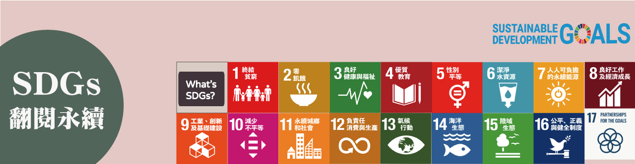 SDG17全球夥伴關係